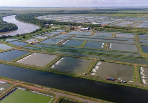 Humpty Doo Barramundi - IES Summary February 2021